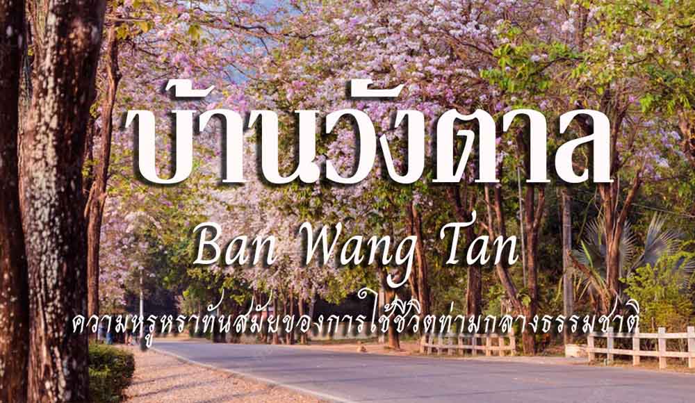 Baan Wang Tan - 999 ดีเวลลอปเม้นท์